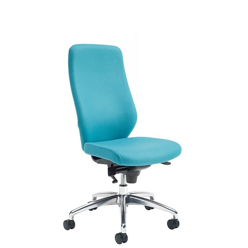 D9 Perpetual Chair - Ergonomic Support for Spine Alignment
